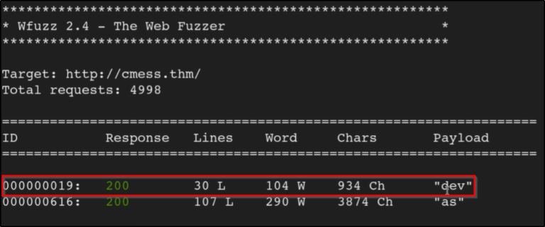 Bruteforcing Subdomains w/ WFuzz | Infinite Logins