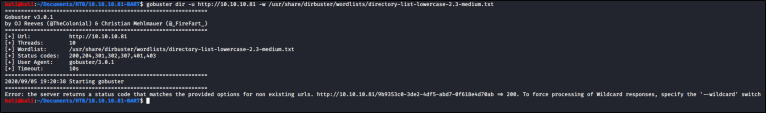 Dealing w/ Gobuster “WildCard” and “Status Code” Errors | Infinite Logins
