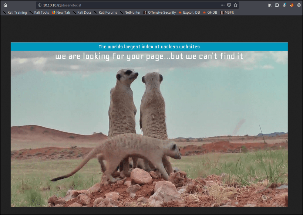 Dealing w/ Gobuster “WildCard” and “Status Code” Errors | Infinite Logins