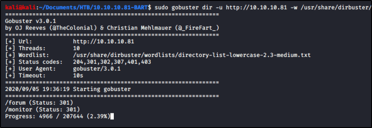 Dealing w/ Gobuster “WildCard” and “Status Code” Errors | Infinite Logins